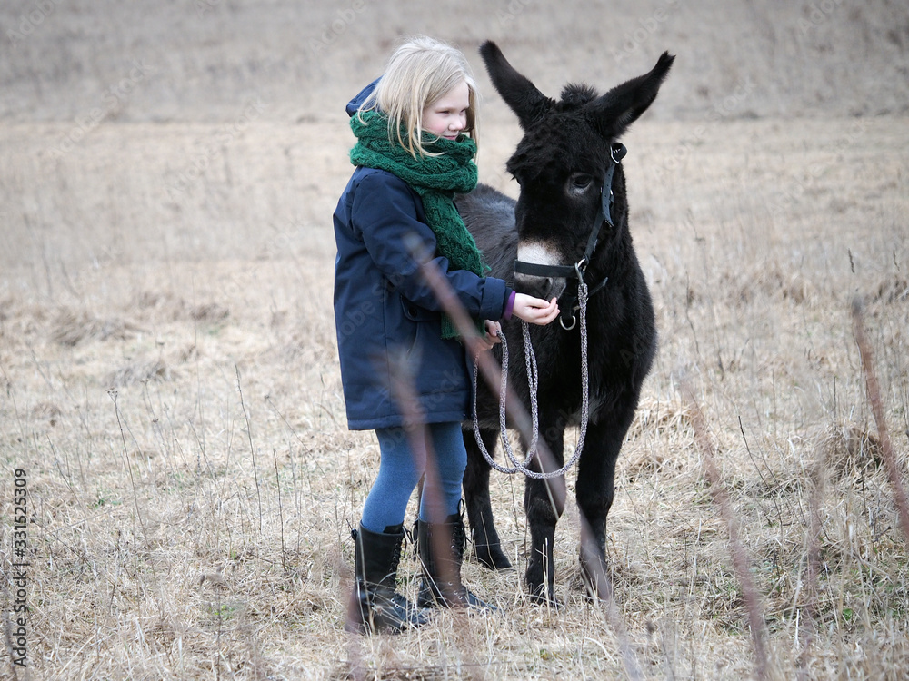 Donkey is the girl's favorite animal. A child with a donkey on a ...