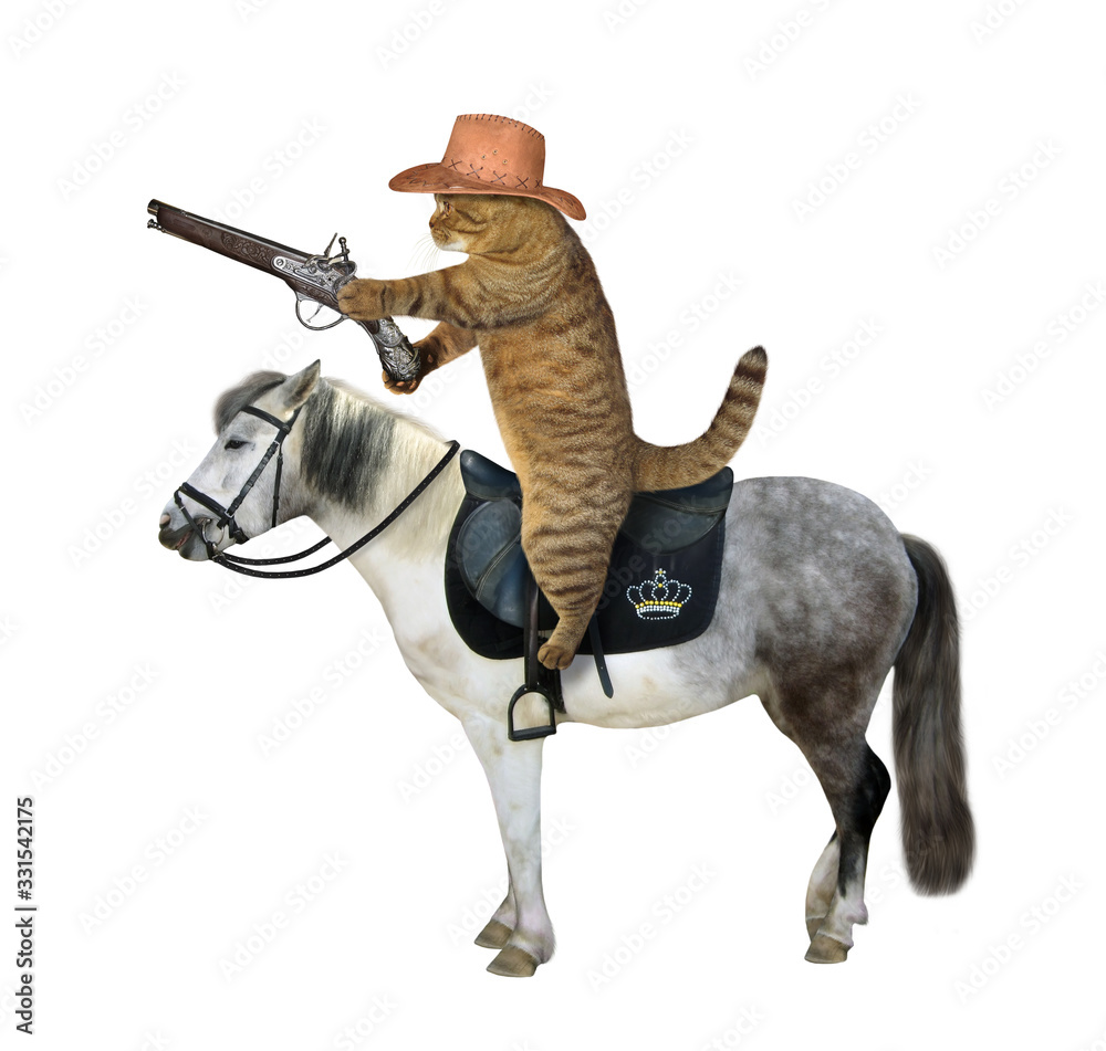 The beige cat in a cowboy hat with an antique flintlock pistol rides a ...