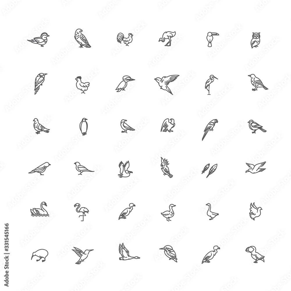 Set of different birds. Vector line icons. Set of different birds Stock ...