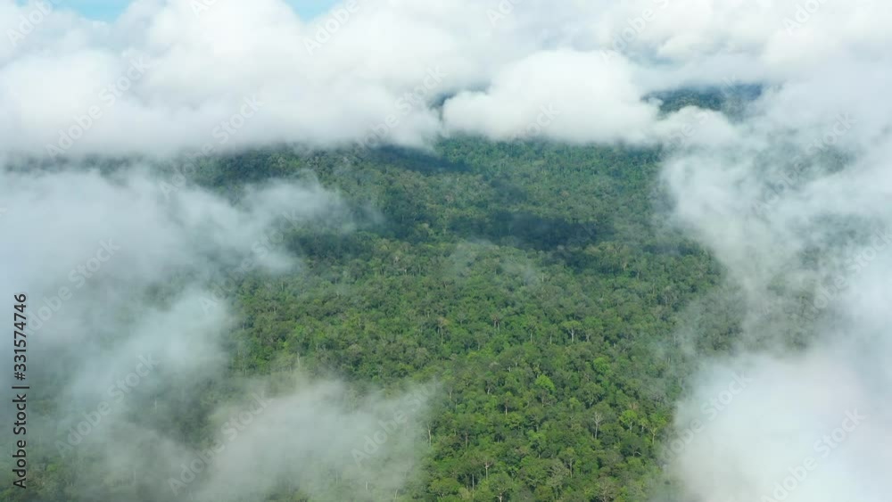 View from above, stunning aerial view of a tropical rainforest with ...