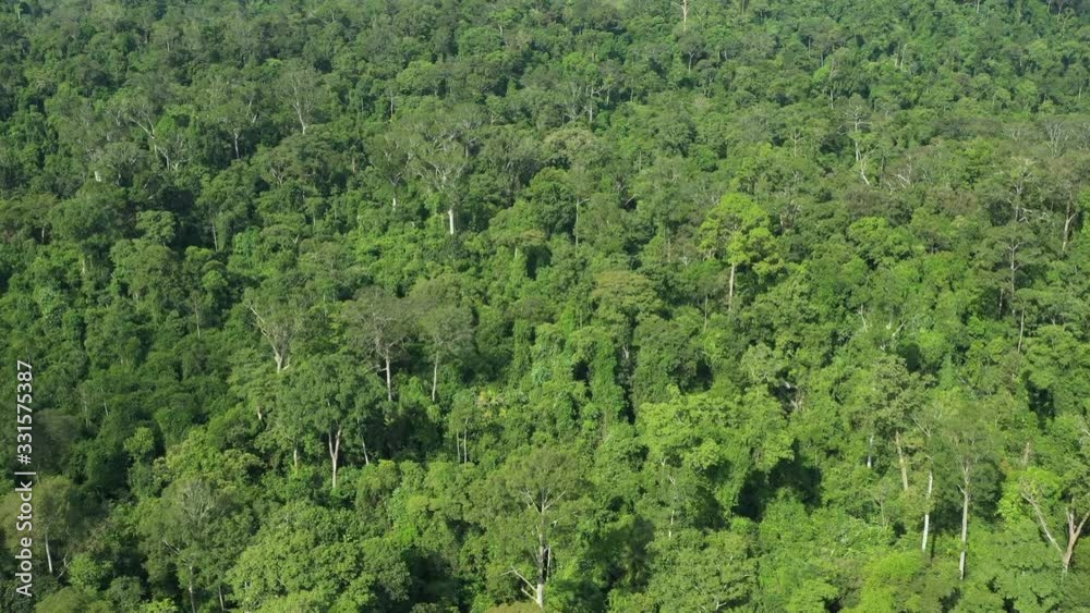 View from above, stunning aerial view of a tropical rainforest with ...