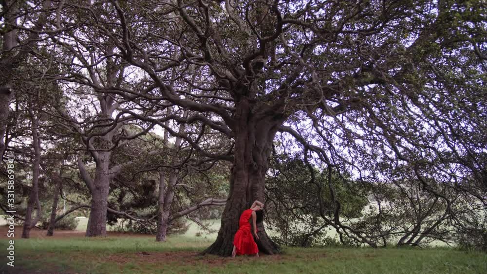A Ballerina In Red Ensemble Gracefully Doing A Cambré Derrière In Front ...
