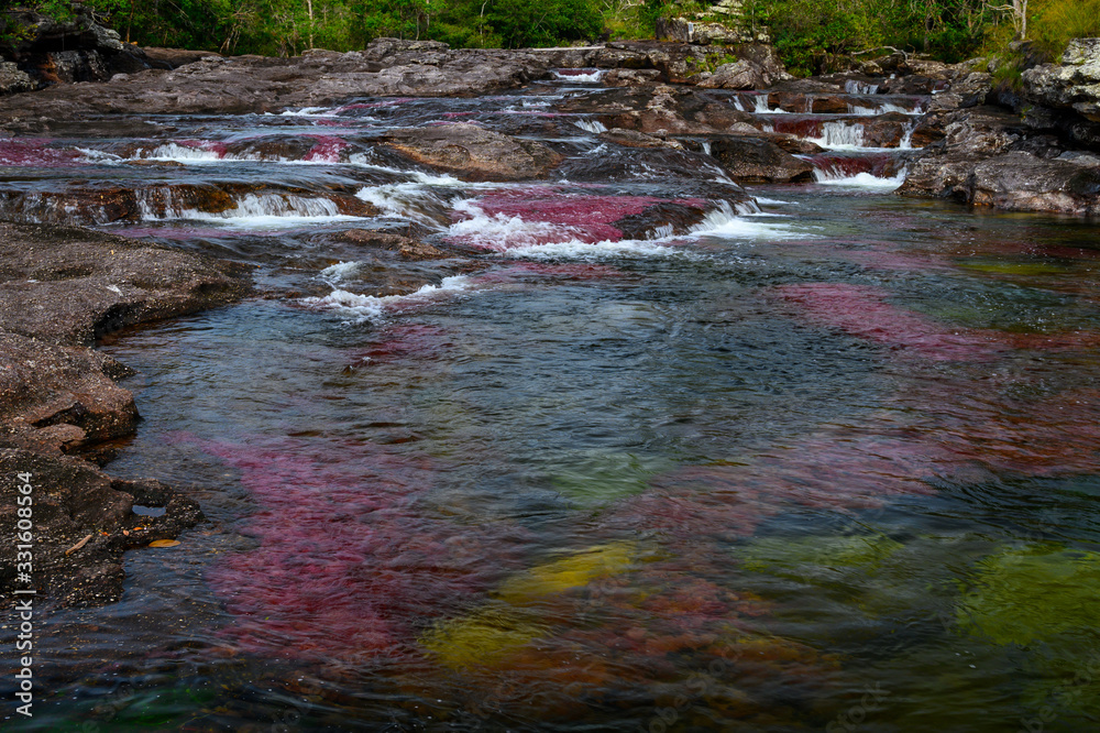 The rainbow river or five colors river is in Colombia one of the most ...