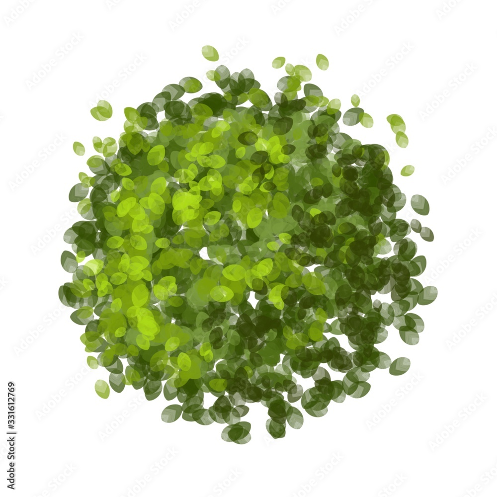 Abstract tree top view isolated for landscape plan or gardening Stock ...