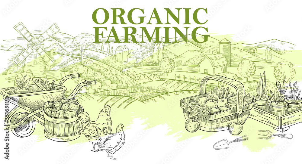 Vector vintage banner with rural landscape in engraving style ...