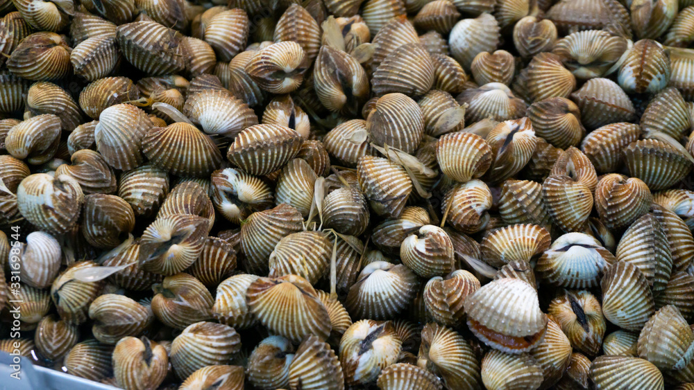 Foto de The shells are scientifically named Anadara granosa and ...