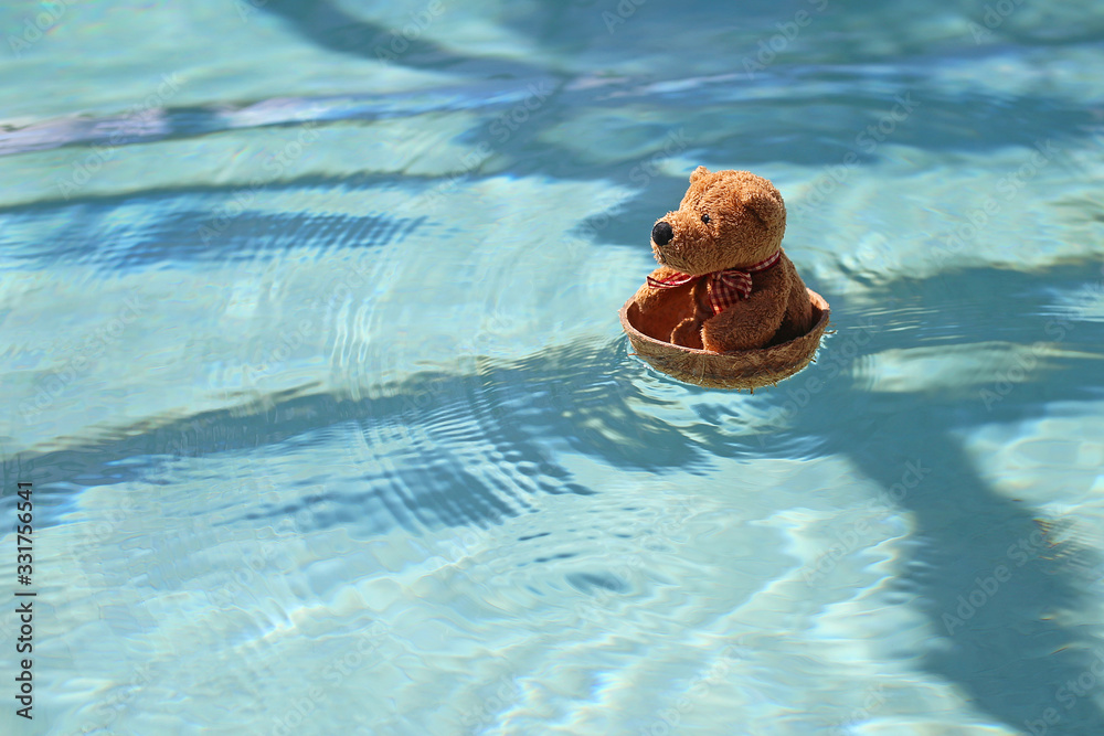 Tiny Child's Teddy Bear Floating in a Coconut Boat in Swimming Pool ...
