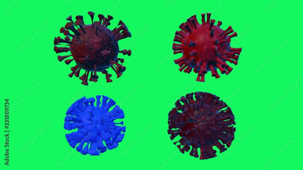 3D Rendering, Animation realistic of the 4 cell severe acute ...