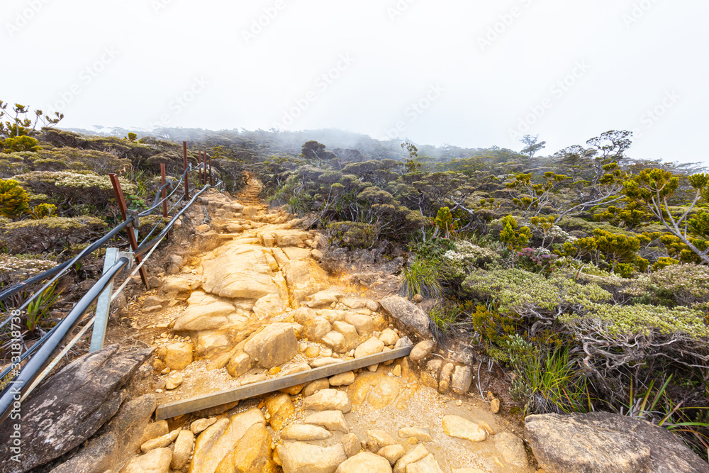 Climbing Mount Kinabalu, Sabah, Borneo, Malaysia. The highest mountain ...