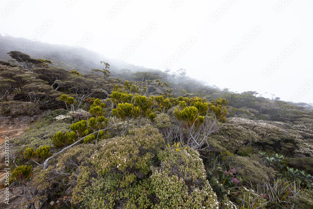 Climbing Mount Kinabalu, Sabah, Borneo, Malaysia. The highest mountain ...
