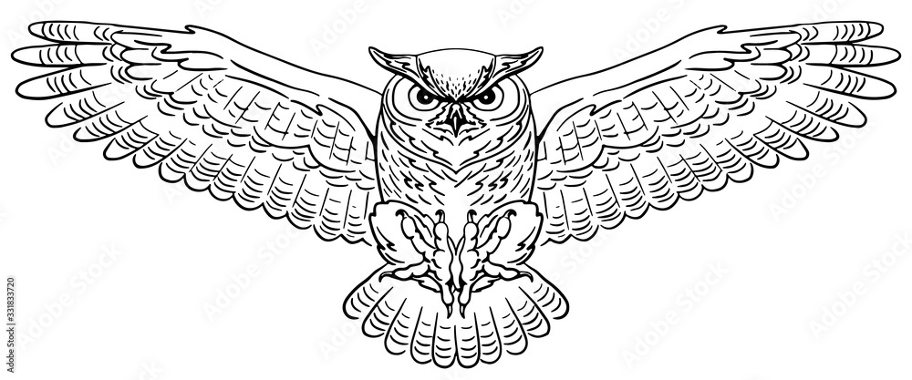 Swooping Great Horned Owl. Hand-drawn vector illustration. Line art ...