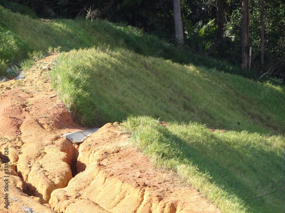 The grass is planted to prevent erosion of the soil slope. It is grown ...