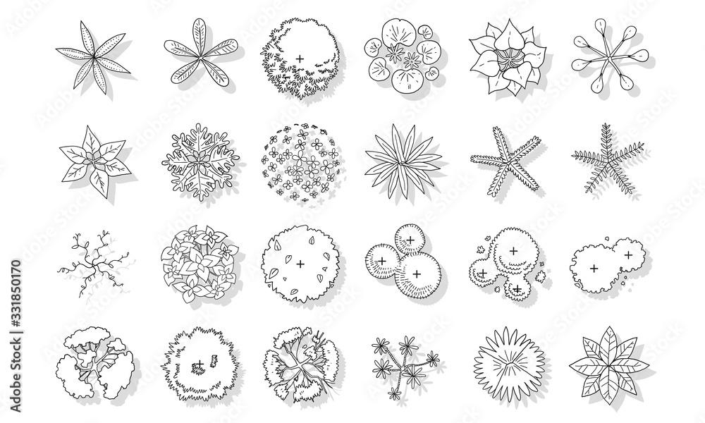 vector of top view tree set, hand drawn sketch on white background ...