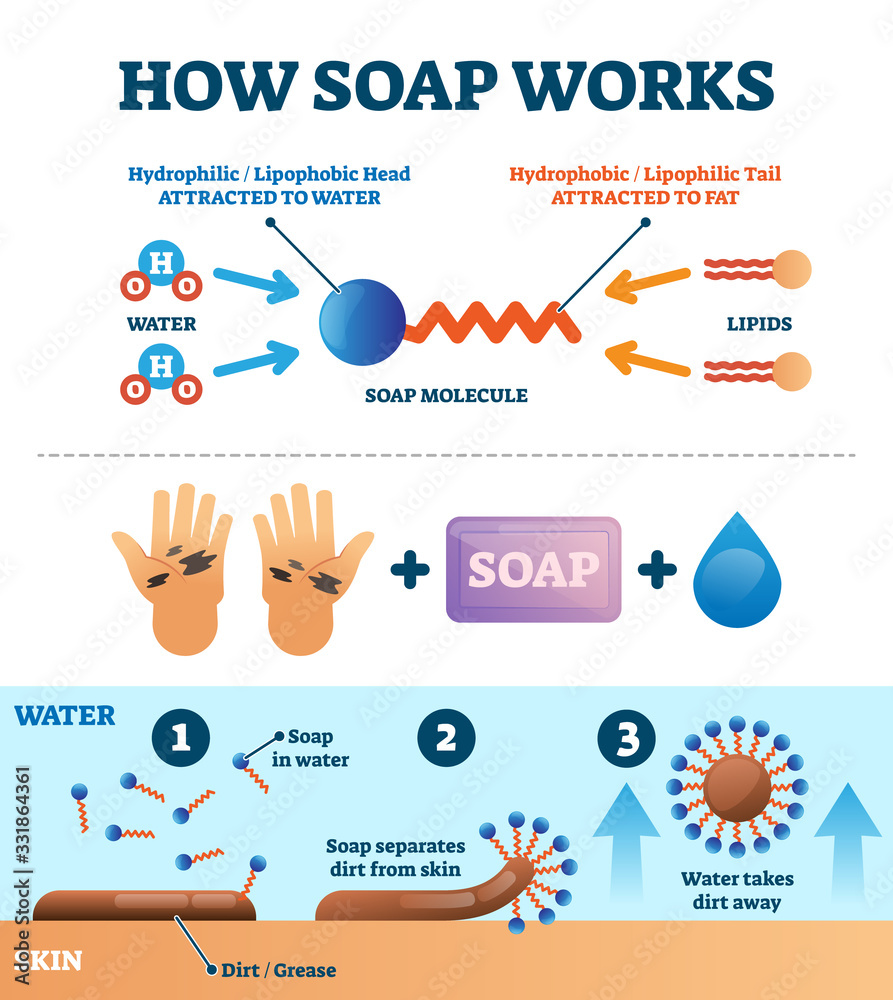 Hand washing with soap vector illustration. Educational explanation ...