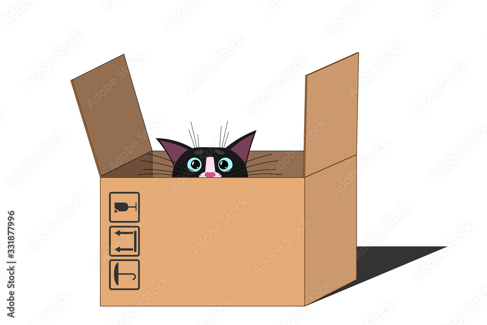 The cute funny cat peeks out of the box. Vector horizontal orientation ...