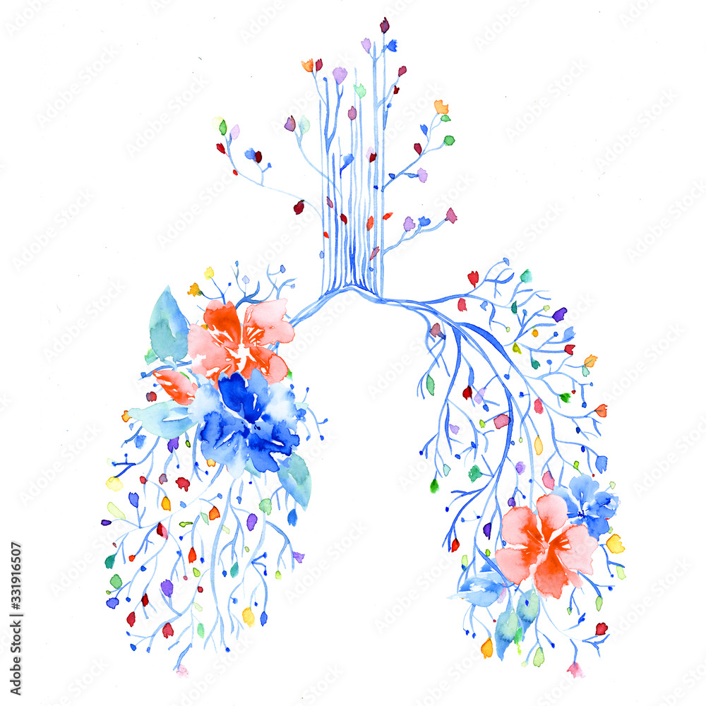 Lungs and flower clipart. Lungs anatomy, Bronchial tree watercolor ...