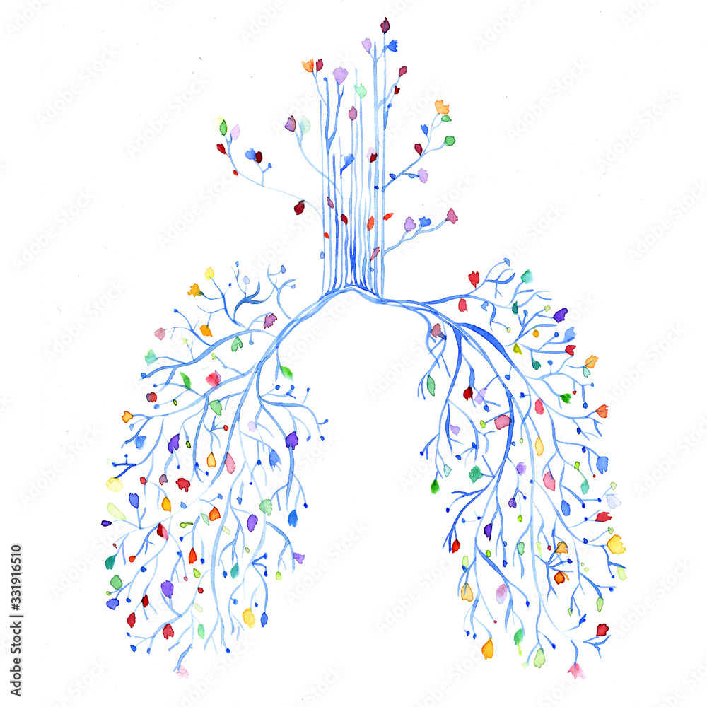 Lungs and flower clipart. Lungs anatomy, Bronchial tree watercolor ...