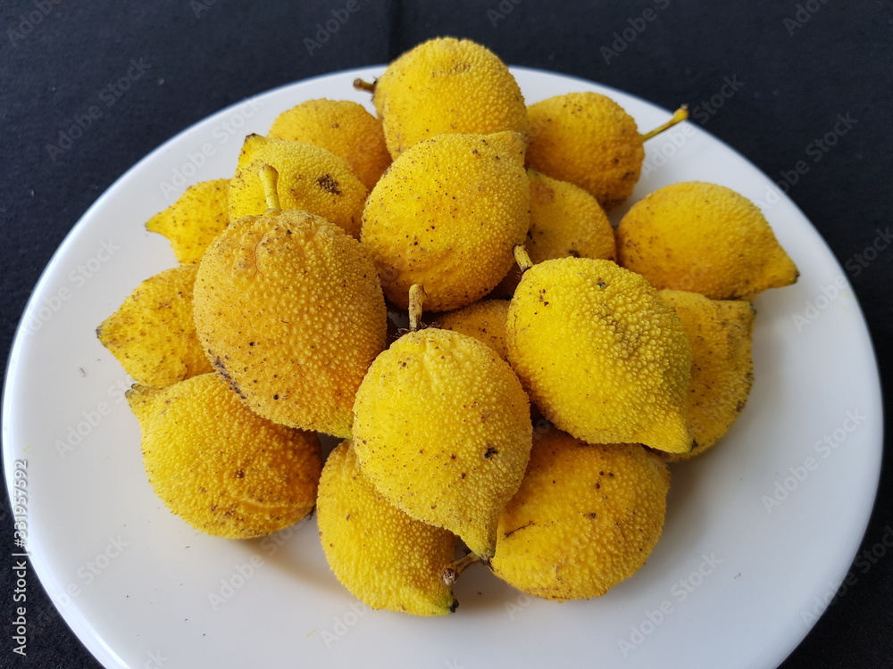 Platonia insignis, the sole species of the genus Platonia, is a tree of ...