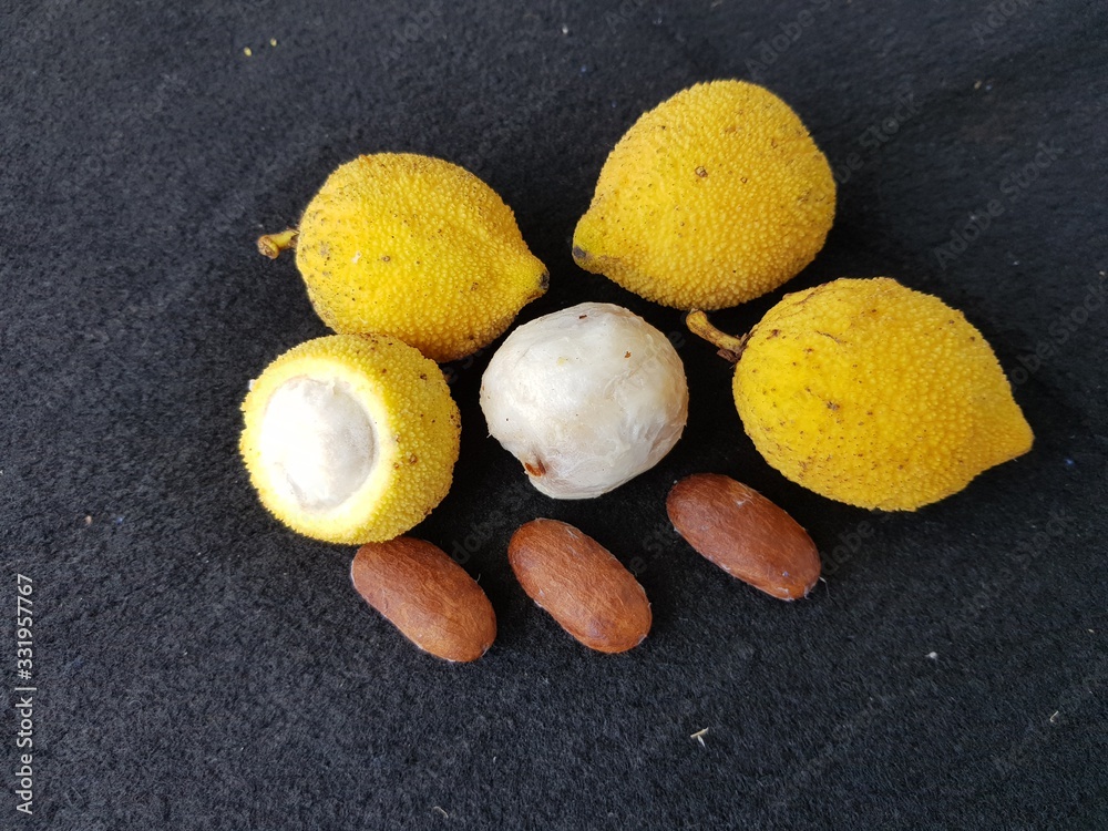 Fruits and seeds of Platonia insignis, the sole species of the genus ...