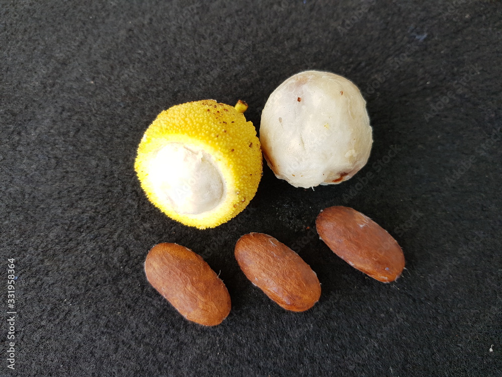 Fruits and seeds of Platonia insignis, the sole species of the genus ...