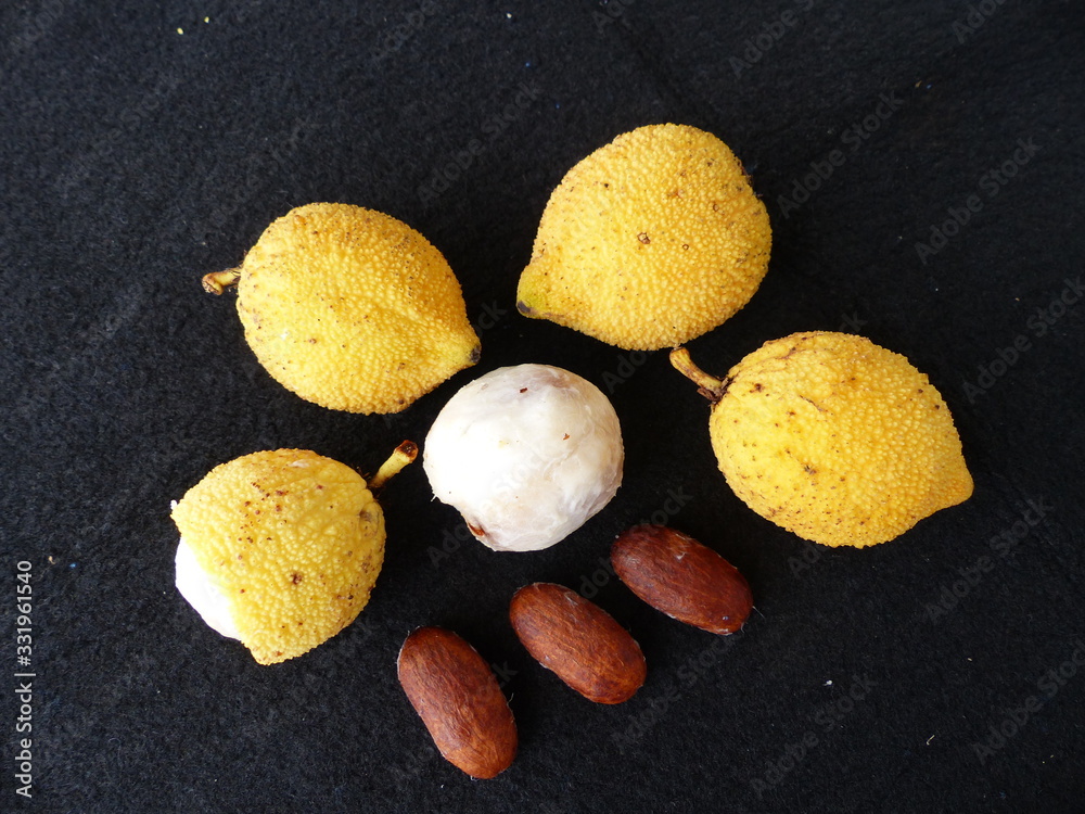 Fruits and seeds of Platonia insignis, the sole species of the genus ...
