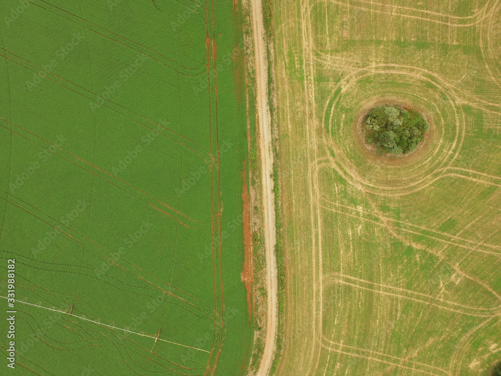 Aerial photo taken with drone of two crops next to each other in ...