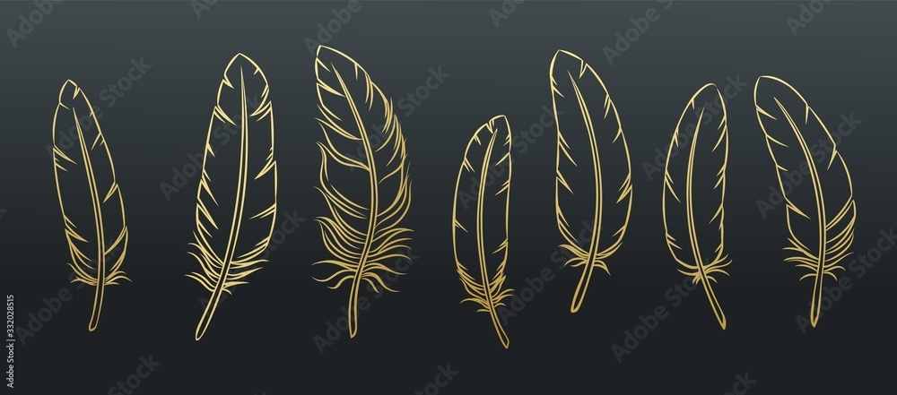 Outline feathers set Stock Vector | Adobe Stock