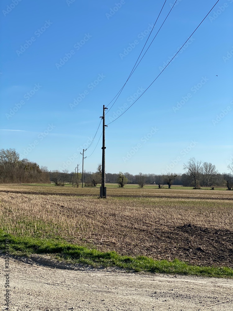 high voltage power lines, power lines in the field, power line, energy ...