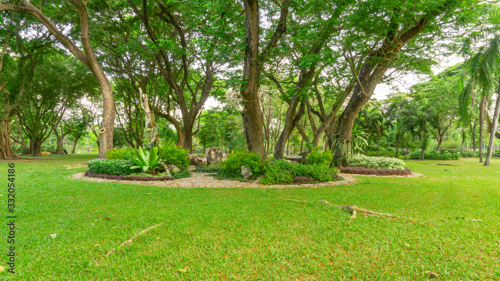 Smooth green grass lawn in good care maintenance garden, decorated with ...