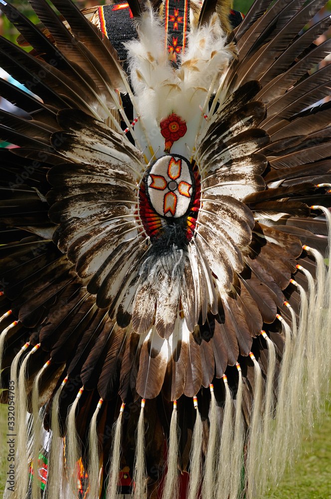 Foto de Eagle feather bustle on an elder Native Indian attending a Pow ...