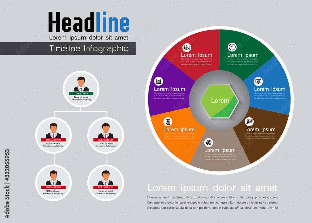 Organization Chart Info graphics Stock Vector | Adobe Stock