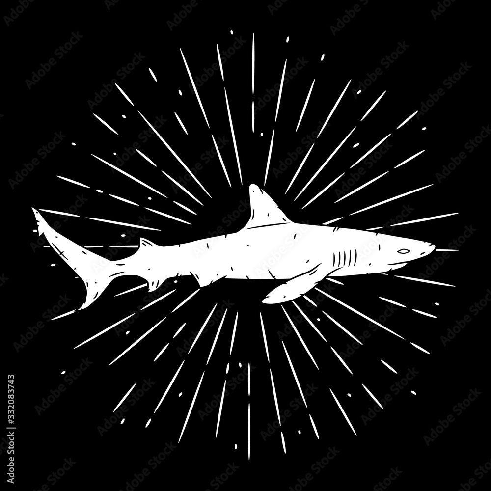 Shark. Vector illustration with shark and divergent rays. Used for ...