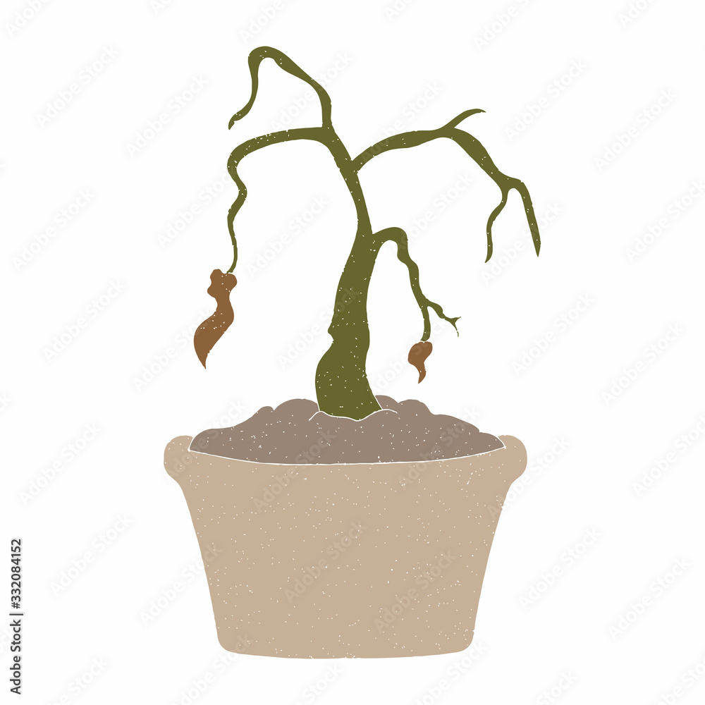wilting plant vector design. digital hand drawn style. grain texture ...