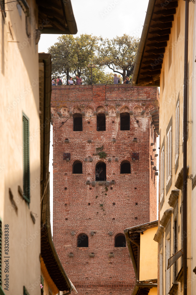 View of the Guinigi tower, is a tower in Lucca, Tuscany, central Italy ...