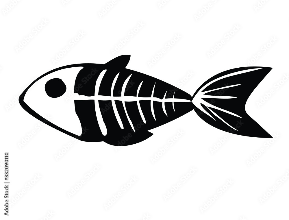 dead fish skeleton x-ray fishbone animal isolated on white background ...