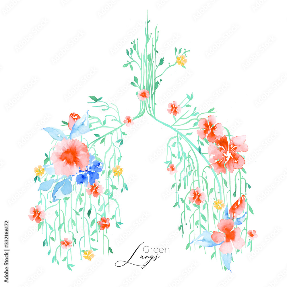 Lungs and flower clipart. Lungs anatomy, Bronchial tree watercolor ...