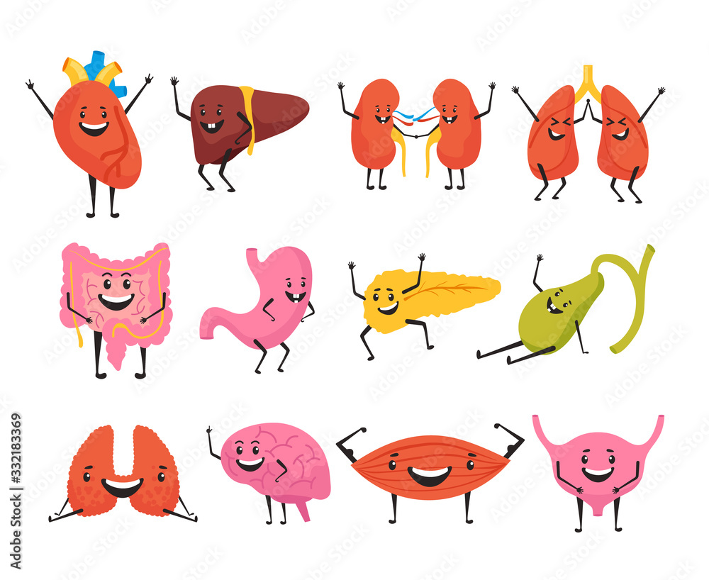Internal organs characters isolated set collection. Vector flat graphic ...