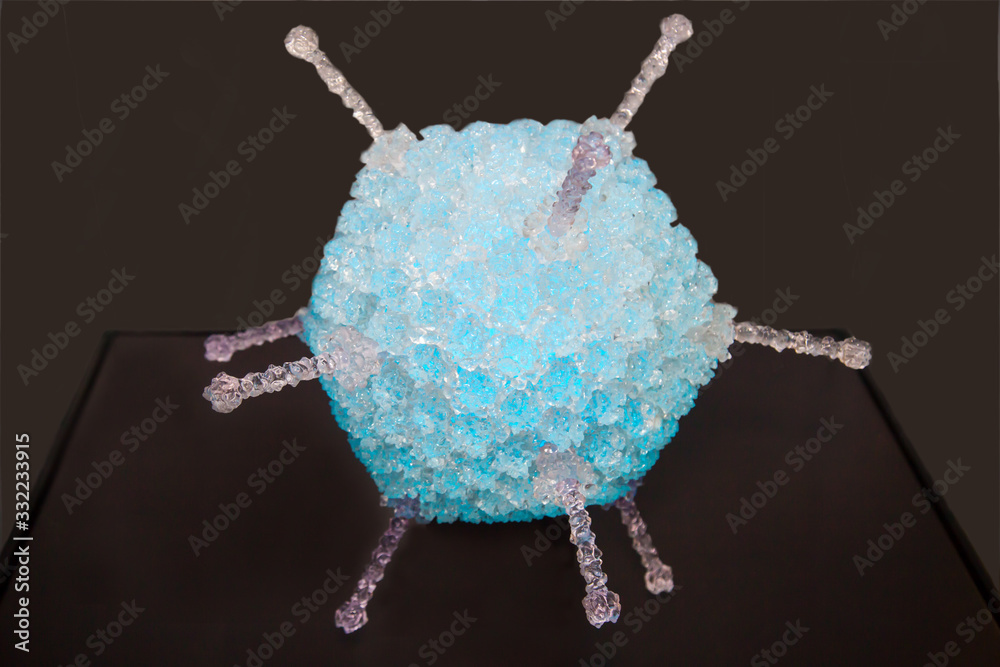 Human adenovirus (lat. Adenoviridae) blue on a dark background ...