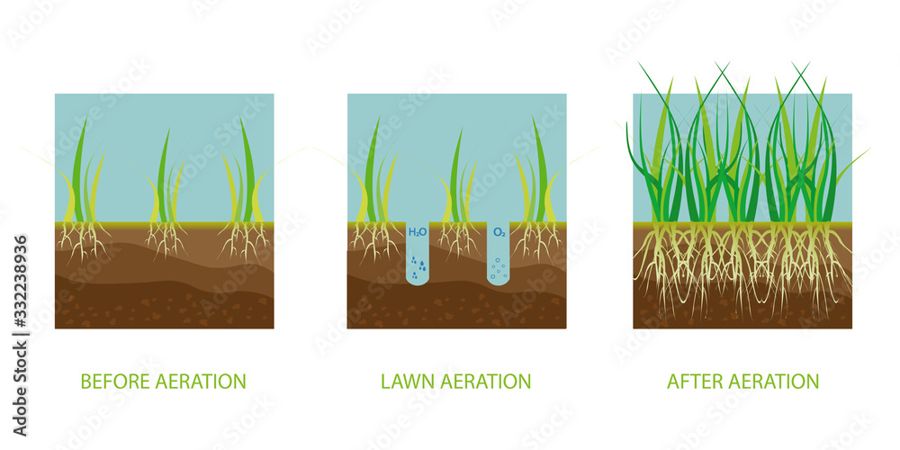 Lawn aeration. Process of aeration before and after, lawn grass care ...