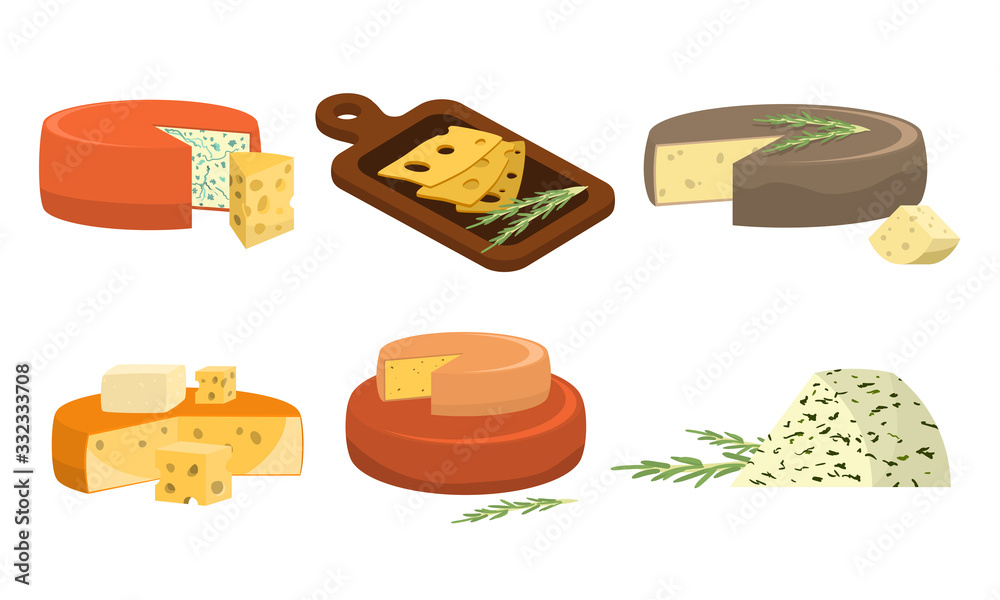 Set of different types of fresh pieces of cheese. Vector illustration ...