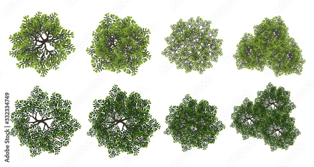 green tree top view isolated on white background Stock Illustration ...