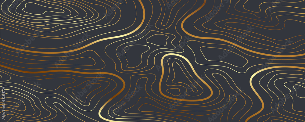 Luxury gold abstract topographic map background with golden lines ...