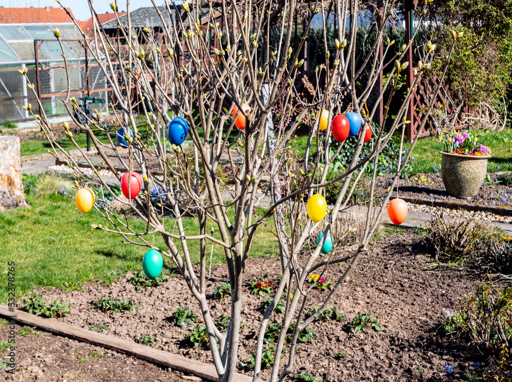 Osterstrauch im Garten im Frühling Stock Photo | Adobe Stock