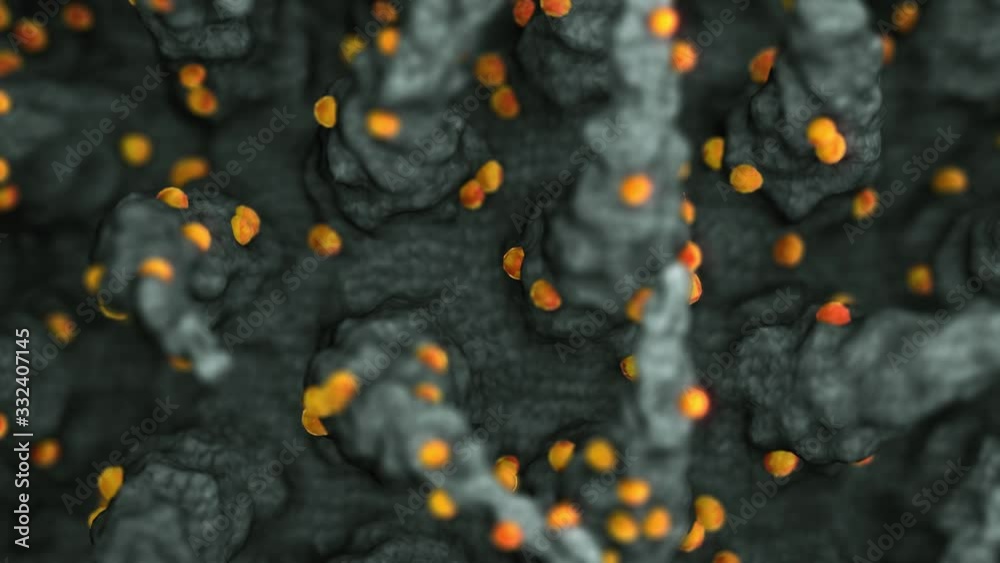 Virtual representation Macro model of Novel Coronavirus SARS-CoV-2 ...