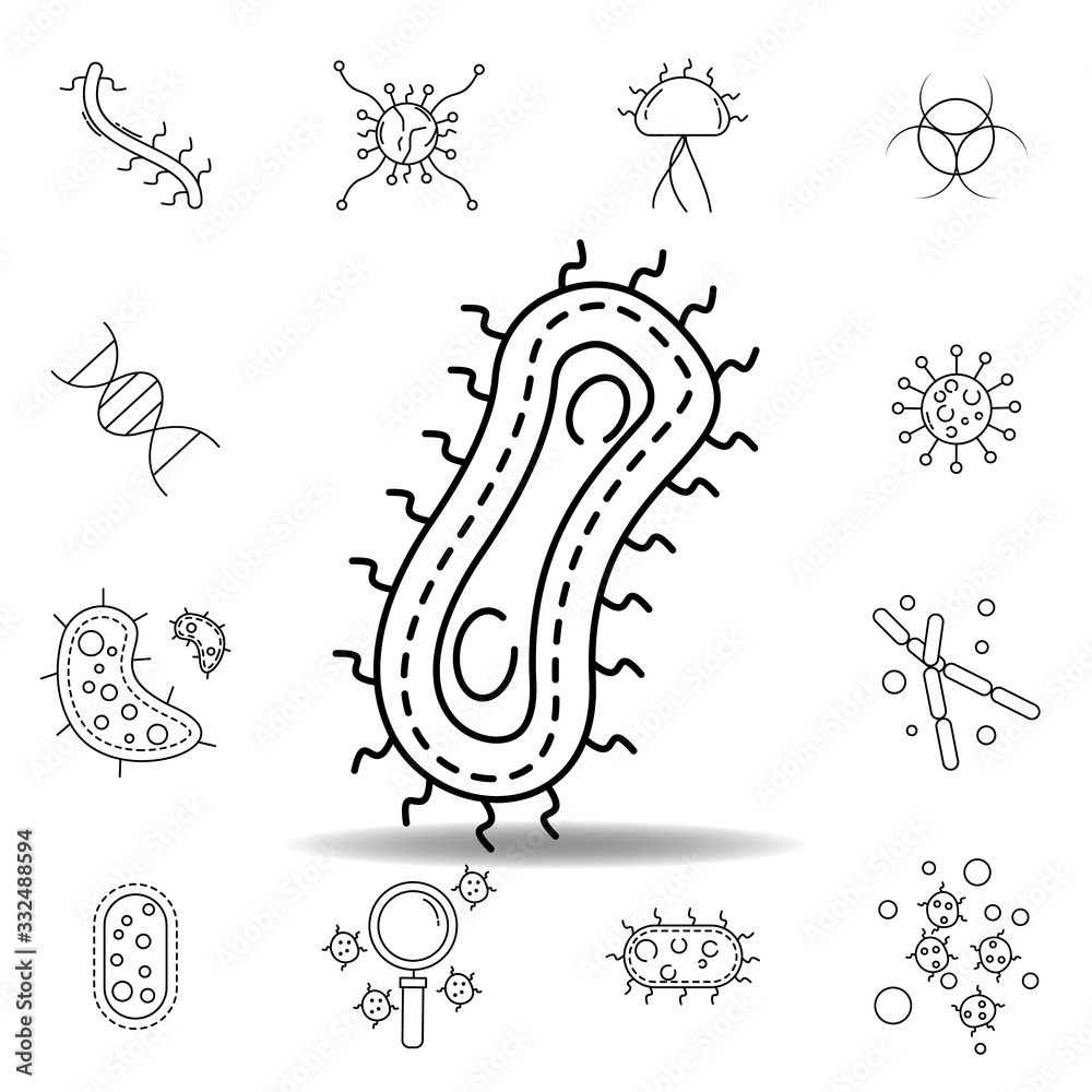 coccus bacteria education line icon. element of bacterium virus ...