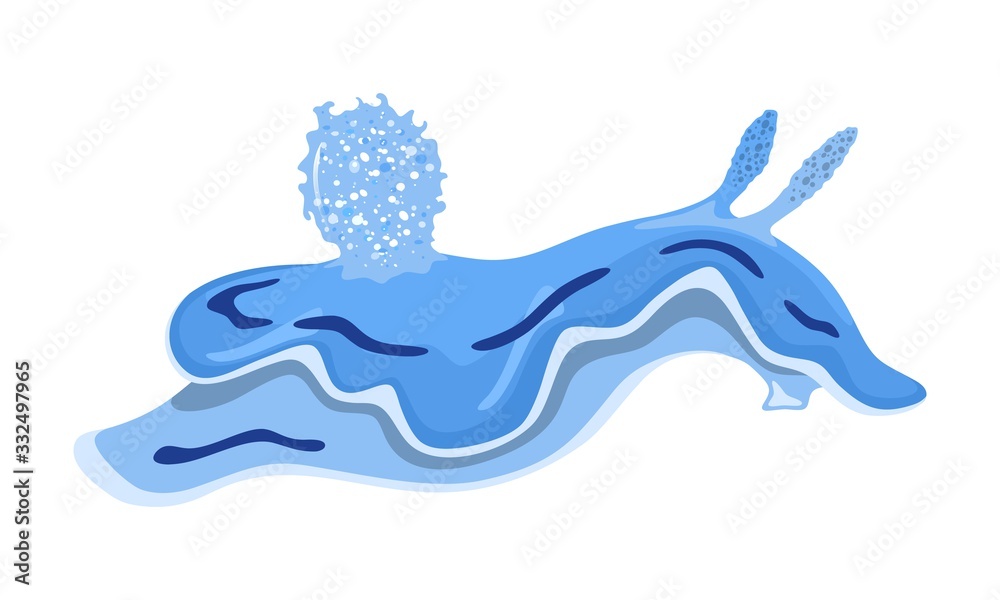 Amazing blue sea slug. Marine gastropod mollusk, invertebrate without ...