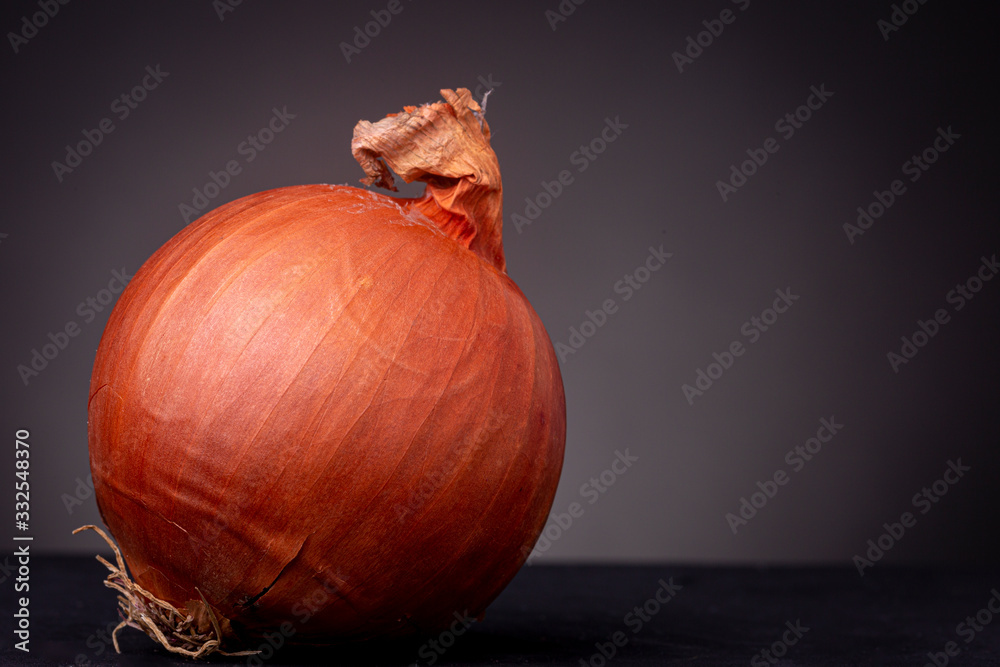 Texture of a round vibrant onion contrasted against a dark grey low key ...