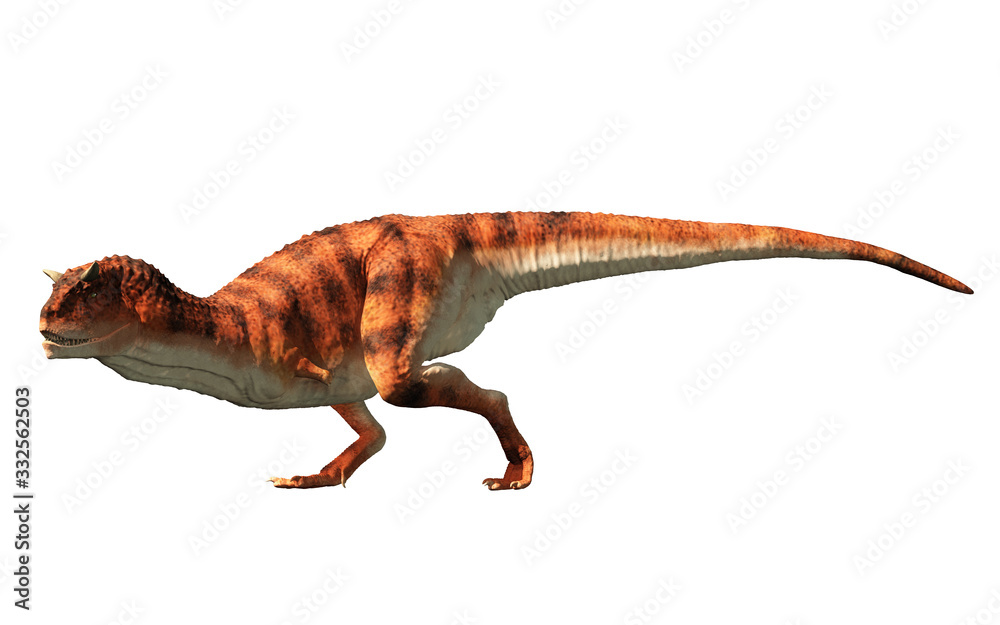 Carnotaurus was a carnivorous theropod dinosaur with horns on its head ...