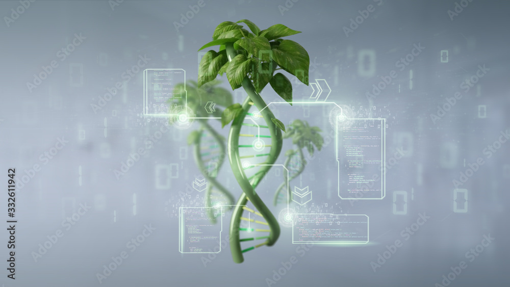 DNA growing as a plant - 3d rendering Stock Illustration | Adobe Stock