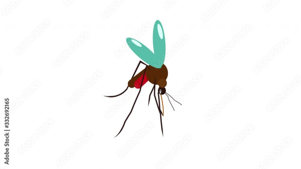 Seamless loop. Five different color variations of the mosquito flight ...